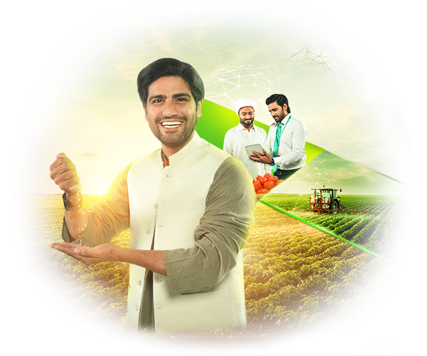 HBL | Personal | Accounts | Current | Hbl Haryali Account